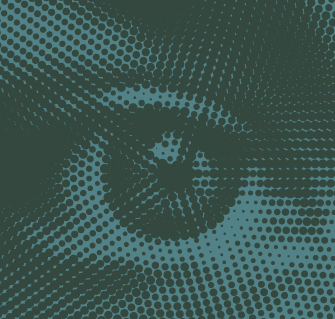 The Policy Initiative - Monitoring the State